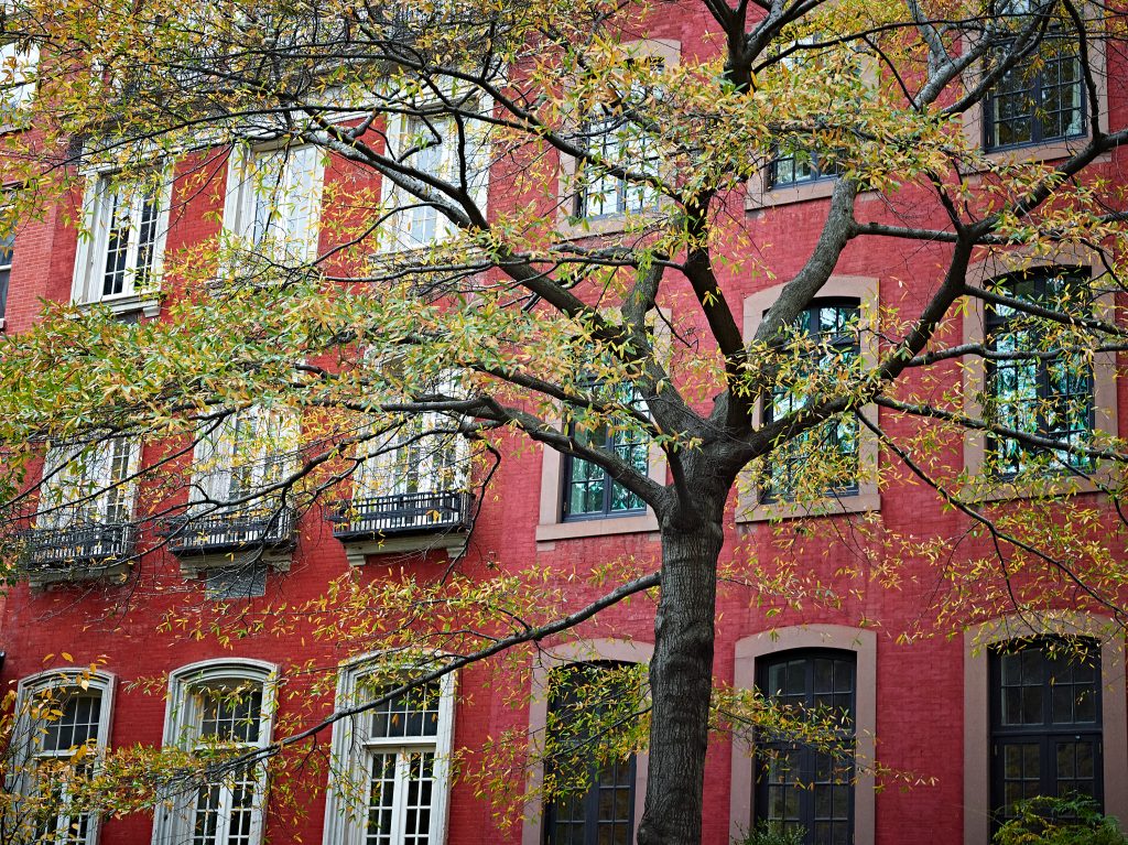 Brownstone In Fall - Peter Adams Photography Archive